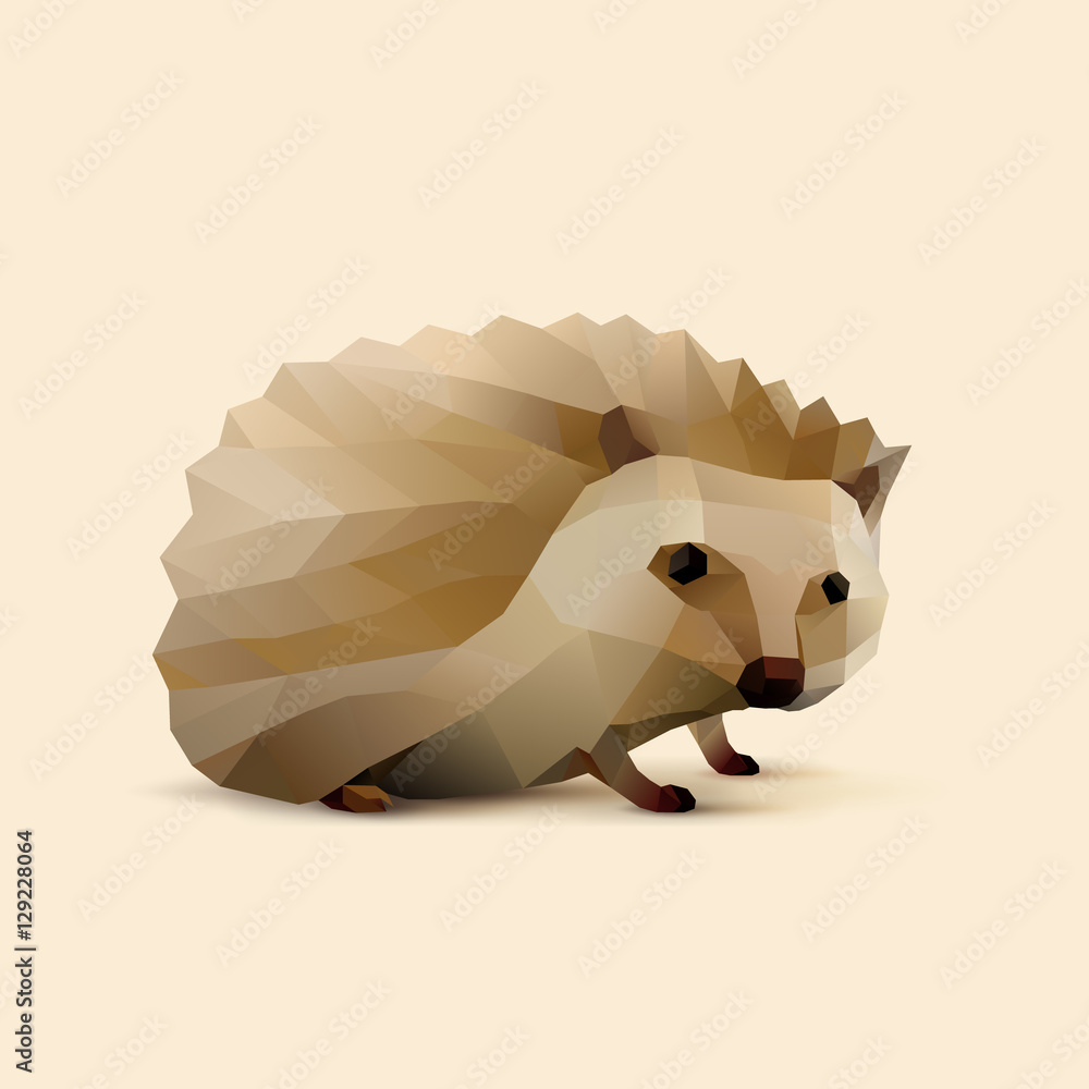 Hedgehog Stock Vector | Adobe Stock
