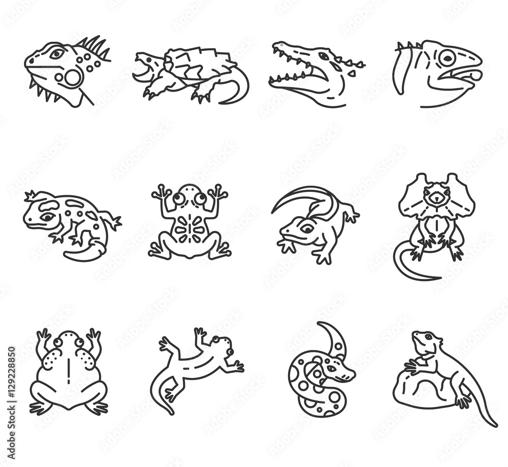 Reptiles and amphibians icons set. Lizards, thin line design. Reptiles ...