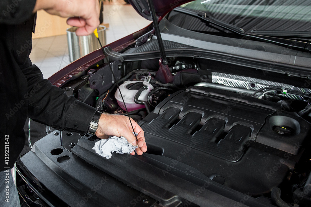 Ölstand eines Autos prüfen Stock Photo | Adobe Stock