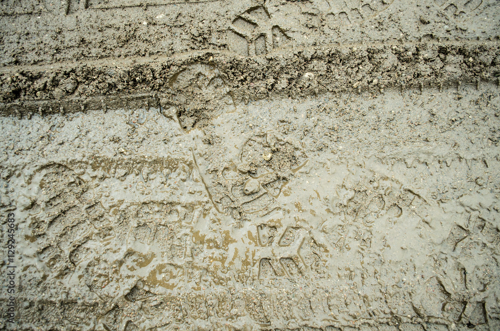 Footprint in the dirt. Brown road dirt with footprints. Background ...