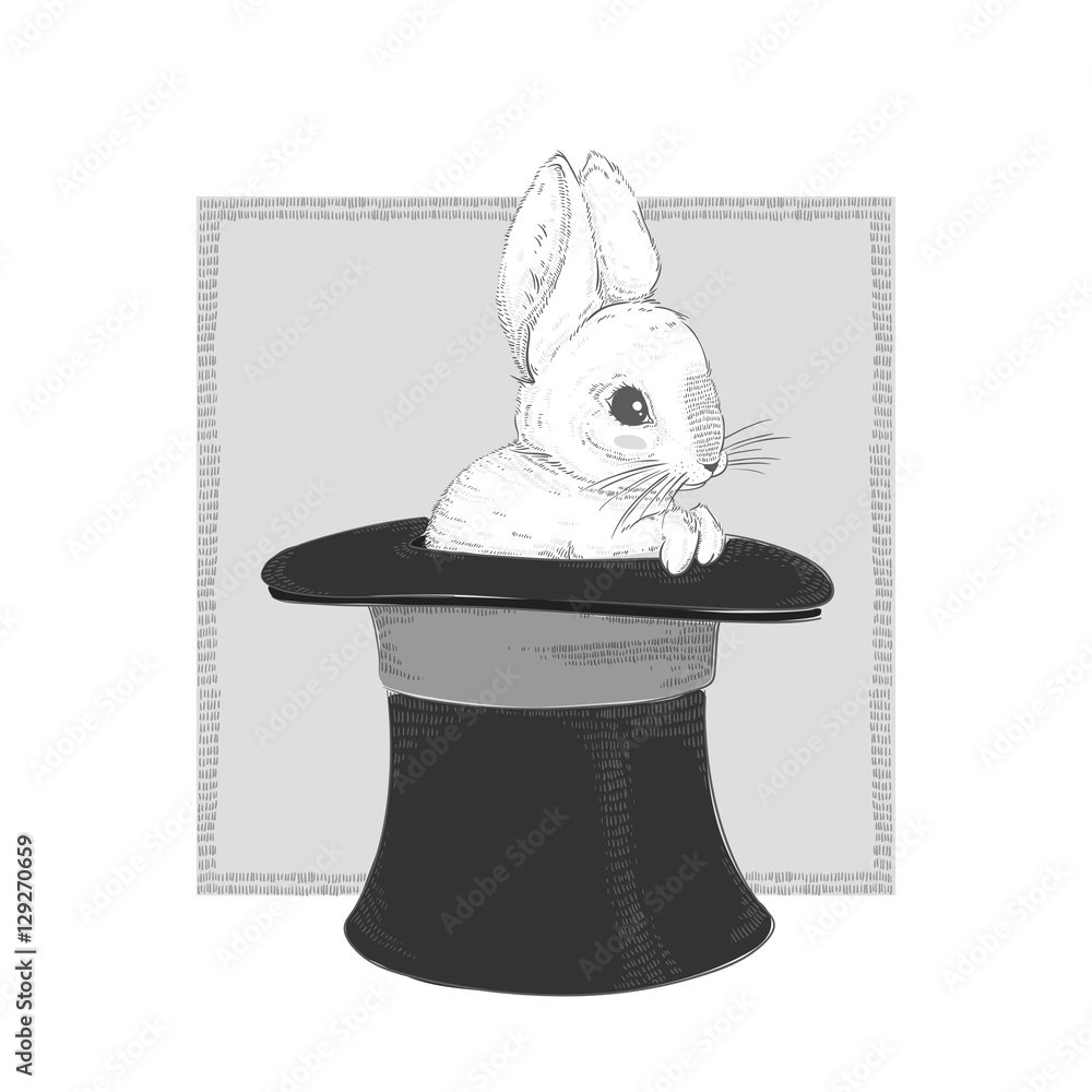 Rabbit in the hat. Hand drawing. Vector illustration Stock Vector ...