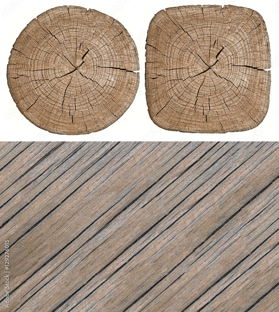 Cross section of tree trunk showing growth rings on white background ...