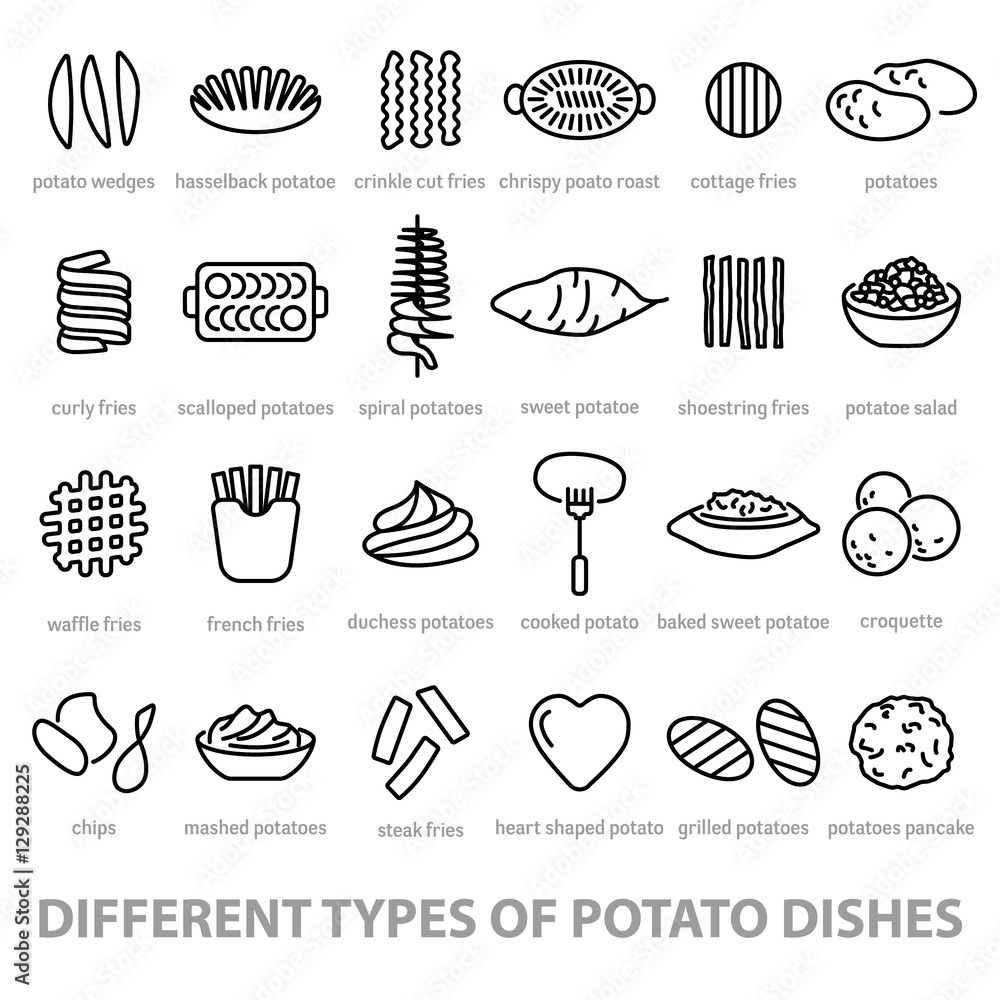 different types of potato dishes vector de Stock | Adobe Stock