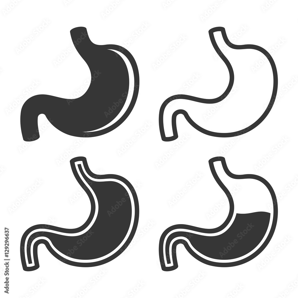 Stomach Icon Set on White Background. Vector Stock Vector | Adobe Stock