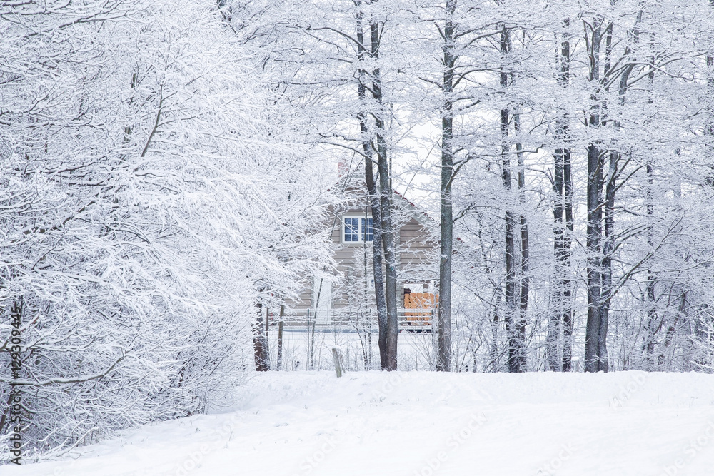 Pretty Snow Blizzards
