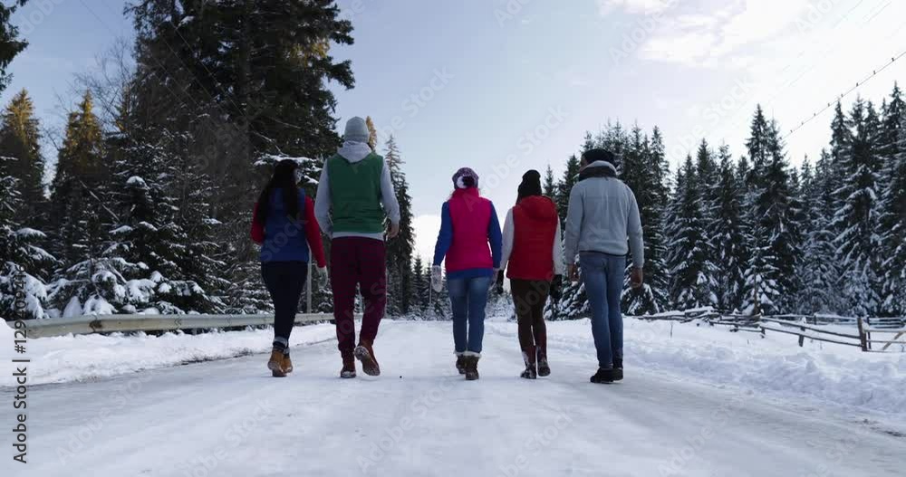 Group Of People Winter Snow Forest Walking Smiling Friends Talking In ...