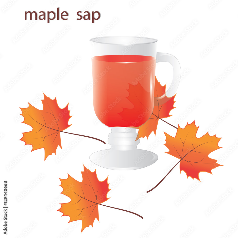 maple sap in a transparent glass autumn leaves isolated on white ...