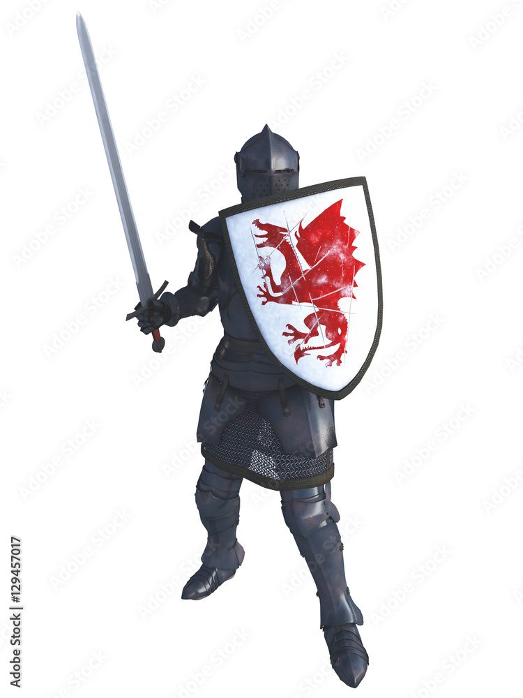 Knight Shield