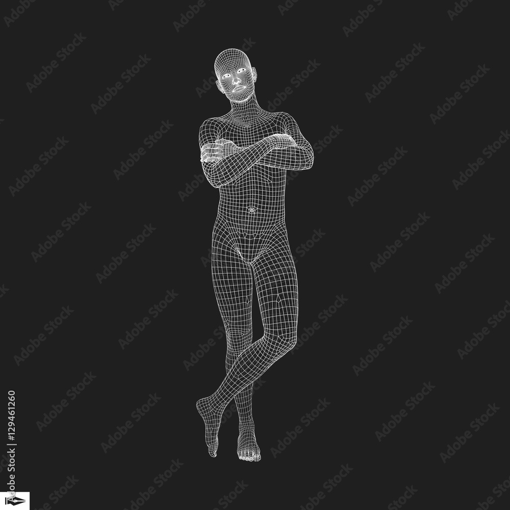 3D Model of Man. Geometric Design. Human Body Wire Model. Stock Vector ...