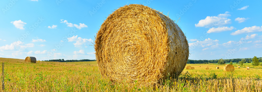 Haystack Stock Photo | Adobe Stock