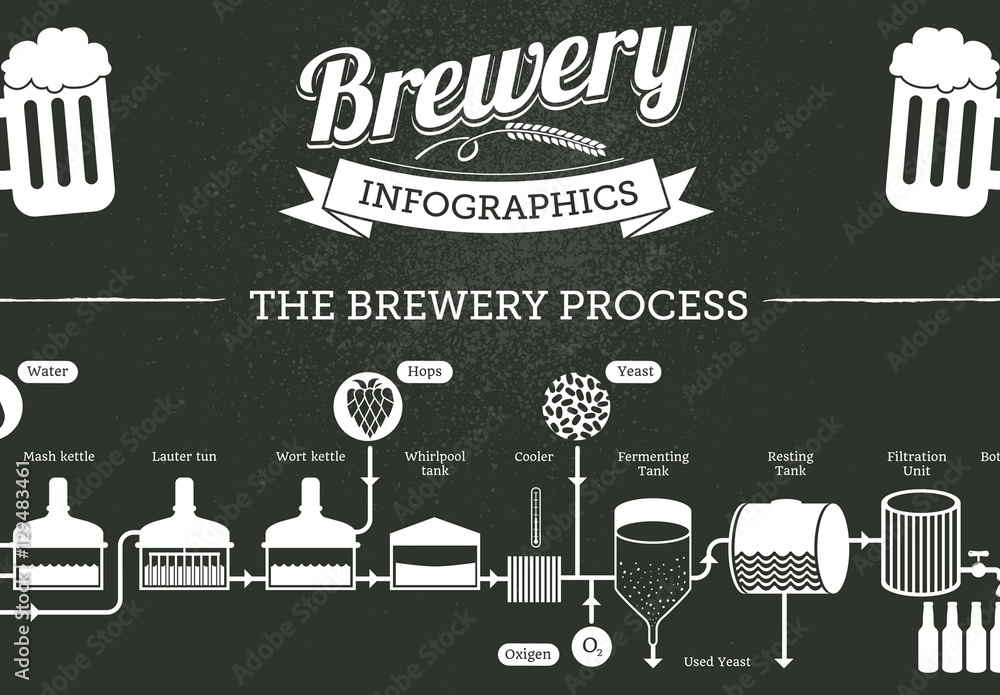 Beer Infographic Video