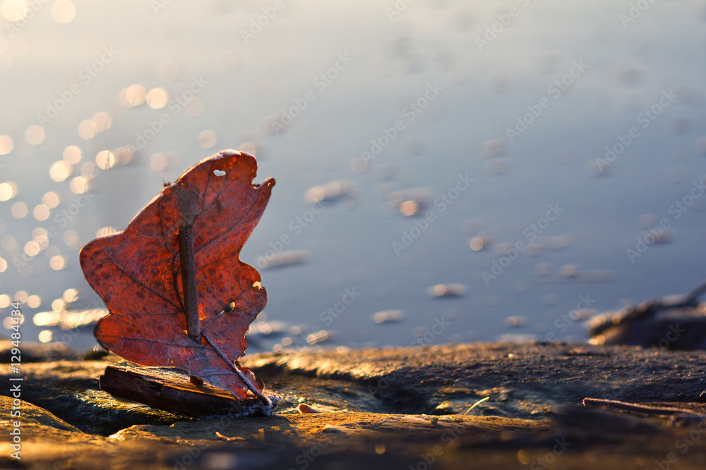 Boot am Wasser, Kinder und Natur, basteln, Naturmaterial Stock-Foto ...