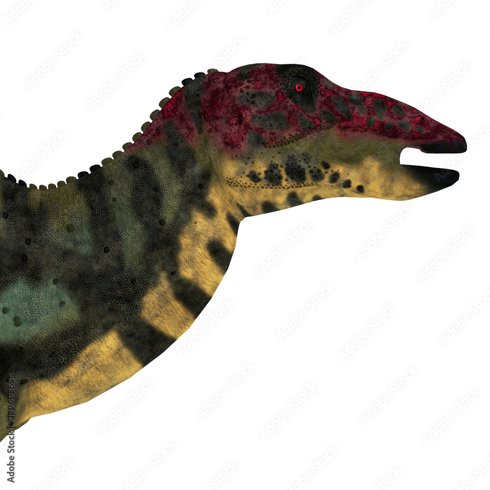 Shuangmiaosaurus Dinosaur Head - Shuangmiaosaurus was a herbivorous ...