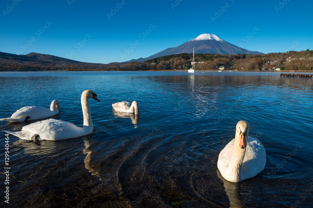Mount Fuji and lake Yamanaka Stock Photo | Adobe Stock