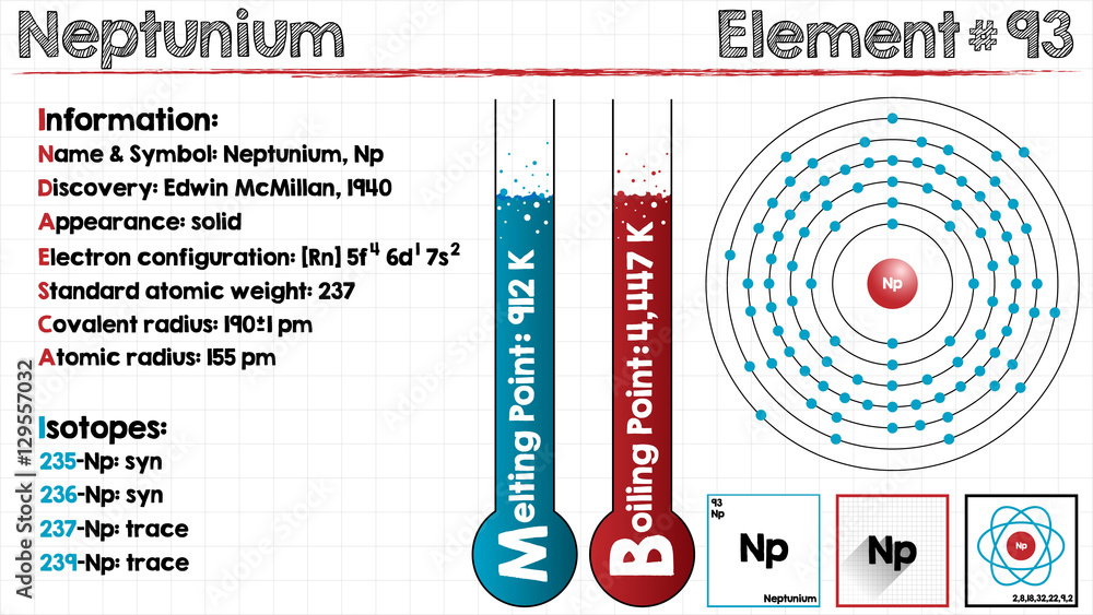 Large and detailed infographic of the element of Neptunium Stock Vector ...