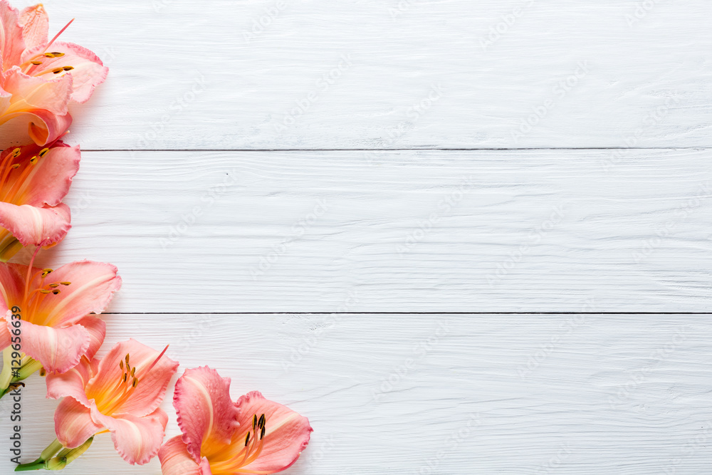 frame of flowers, background white boards Stock Photo | Adobe Stock