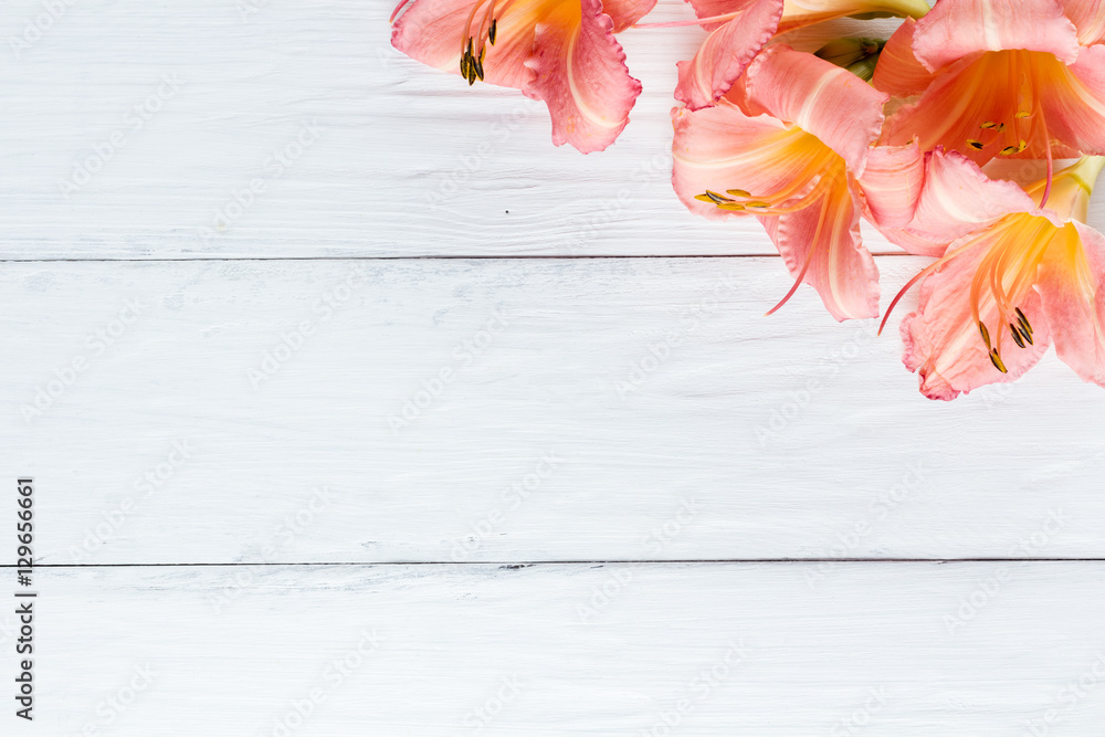 frame of flowers, background white boards Stock Photo | Adobe Stock