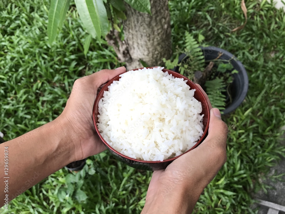 Two hands holding a bowl of rice. Stock Photo | Adobe Stock