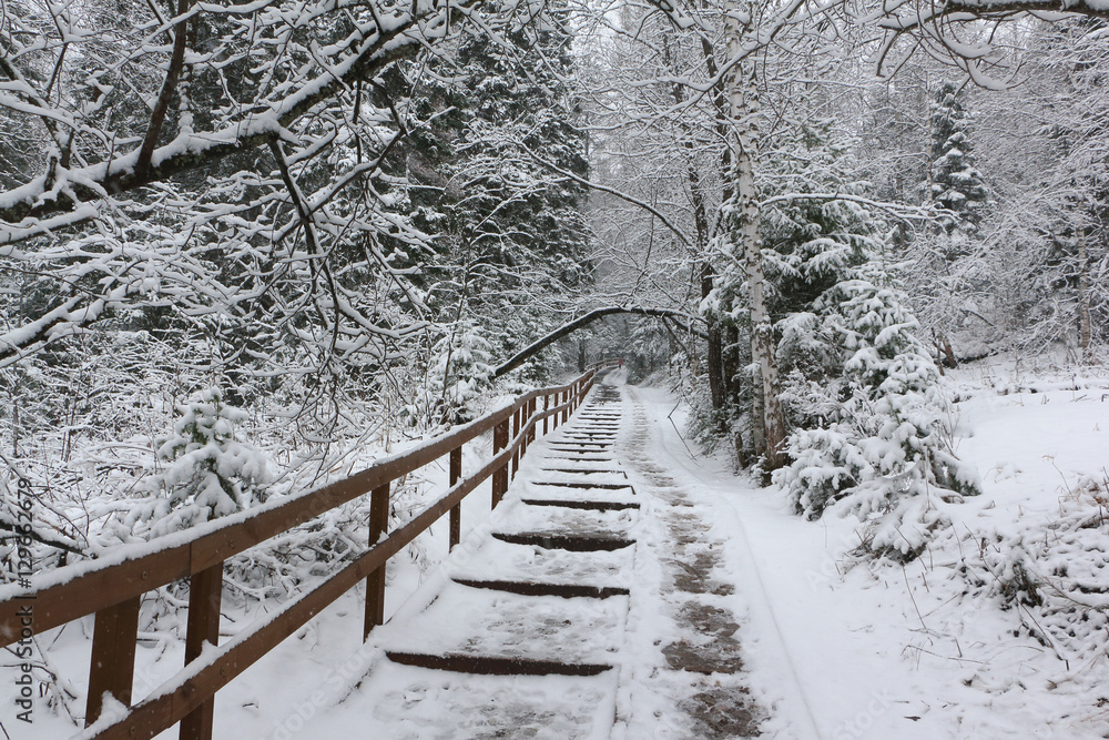Wooden ladder among the snow forest in mountains, Reserve "Columns ...