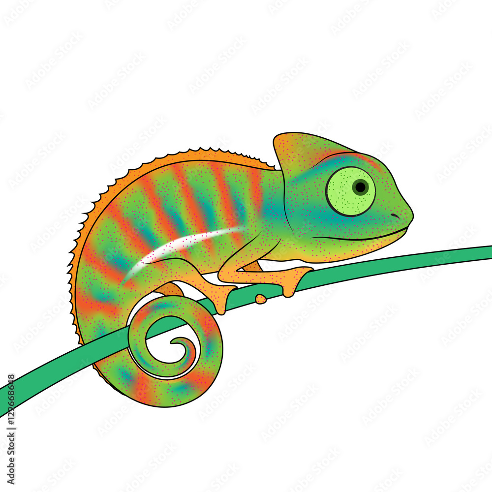 Colorful cartoon chameleon Stock Vector | Adobe Stock