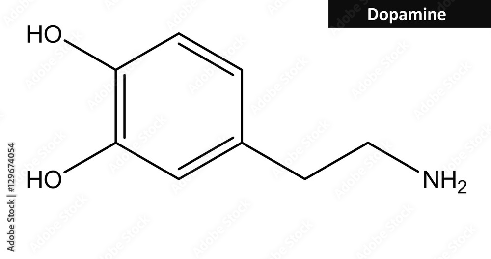 Molecular structure of dopamine Stock Illustration | Adobe Stock