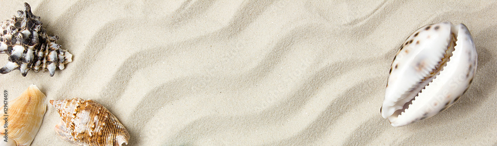 Marine summer postcard. Seashells border on sand on the beach, border ...