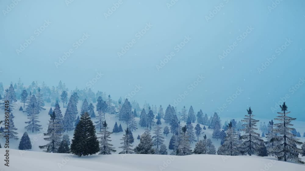 Winter scenery with snow covered fir tree forest high in snowy ...
