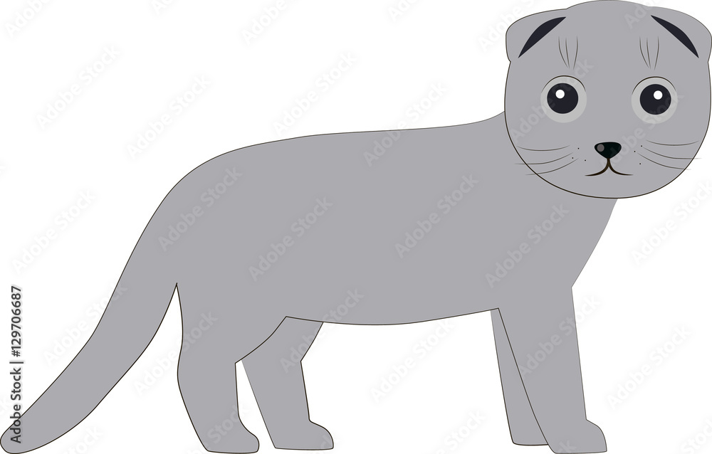 grey cat Stock Vector | Adobe Stock
