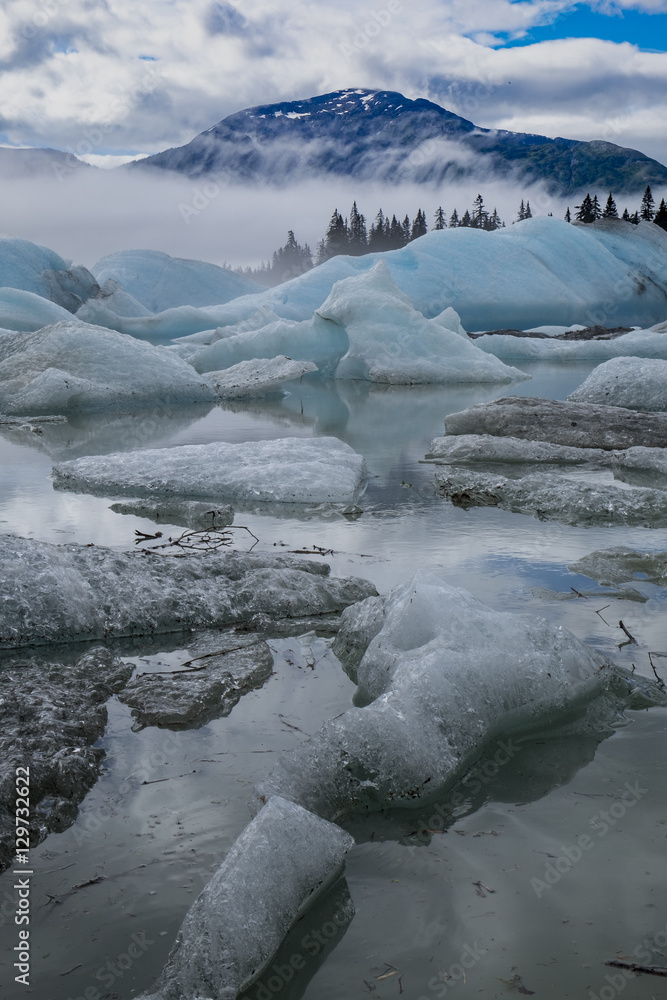 Icebergs, Shakes Lake, Alaska Stock Photo | Adobe Stock