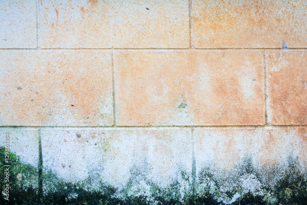 old concrete block wall background texture Stock Photo | Adobe Stock