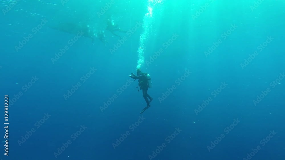 Diving in the red sea a group of divers submerged. Stock Video | Adobe ...