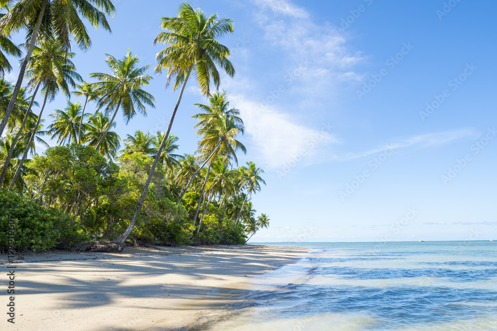 Bright scenic view of an empty, palm-fringed tropical beach on the ...