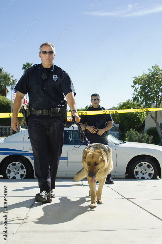 Full length of a police officer walking with trained dog at crime scene ...