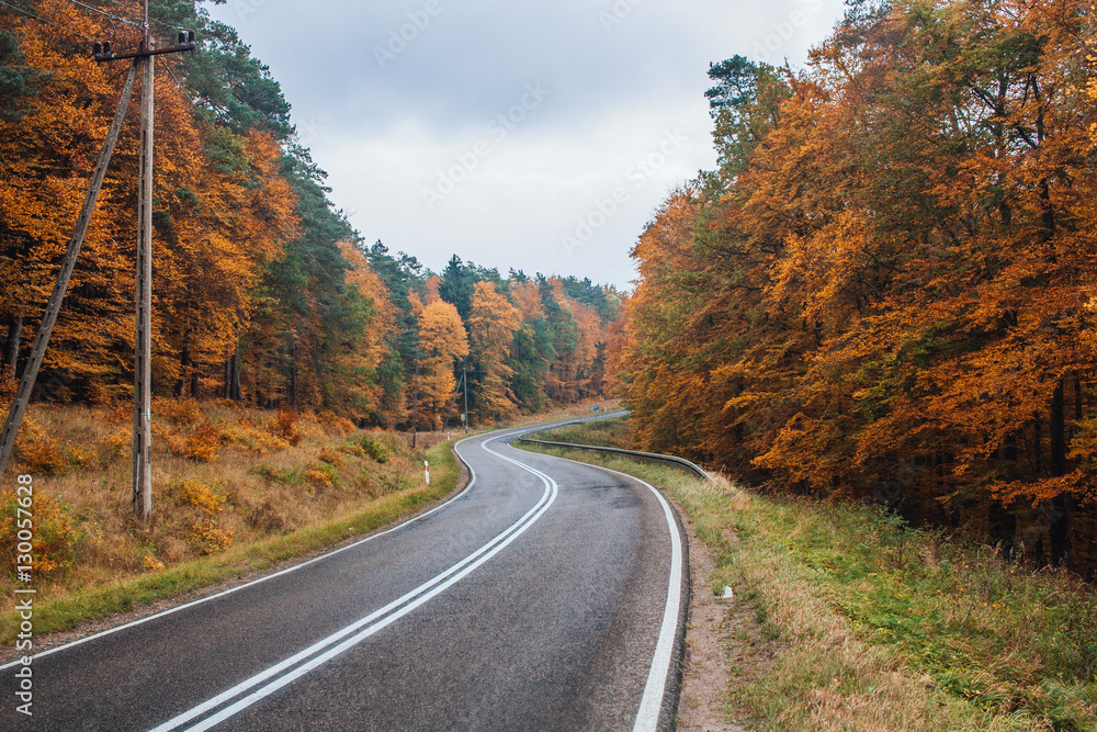 Poland. Autumn Stock Photo | Adobe Stock