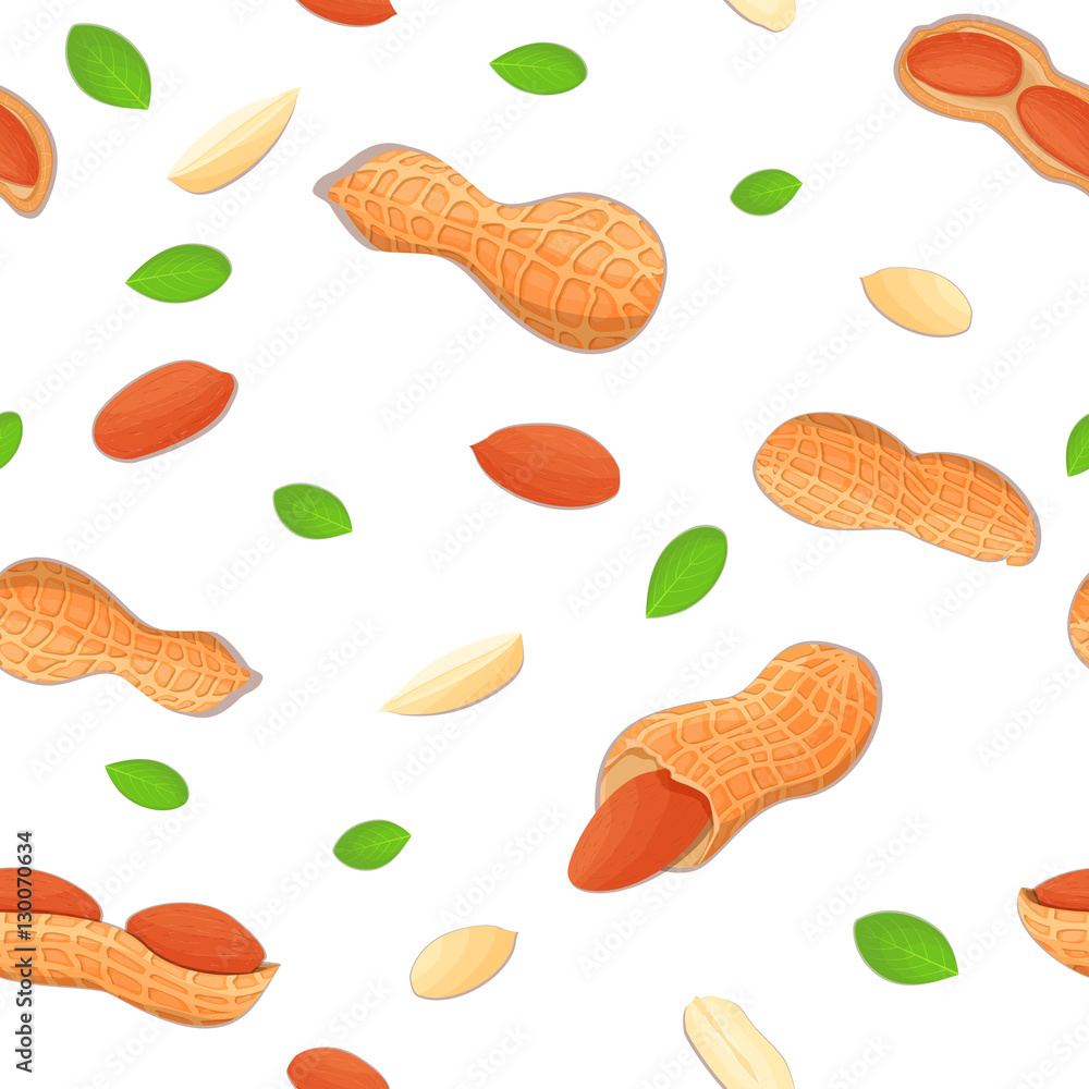 Vector seamless pattern peanut nut. Illustration of peeled nuts and in ...