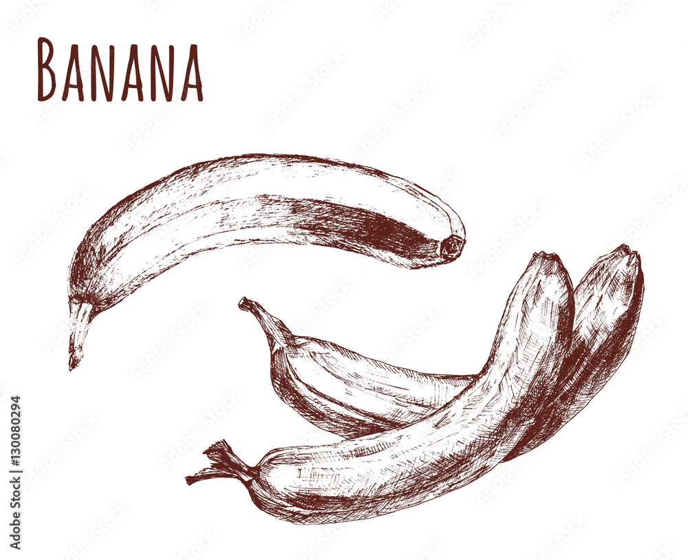Set of whole bananas (tropical fruit), hand draw sketch, outline on ...