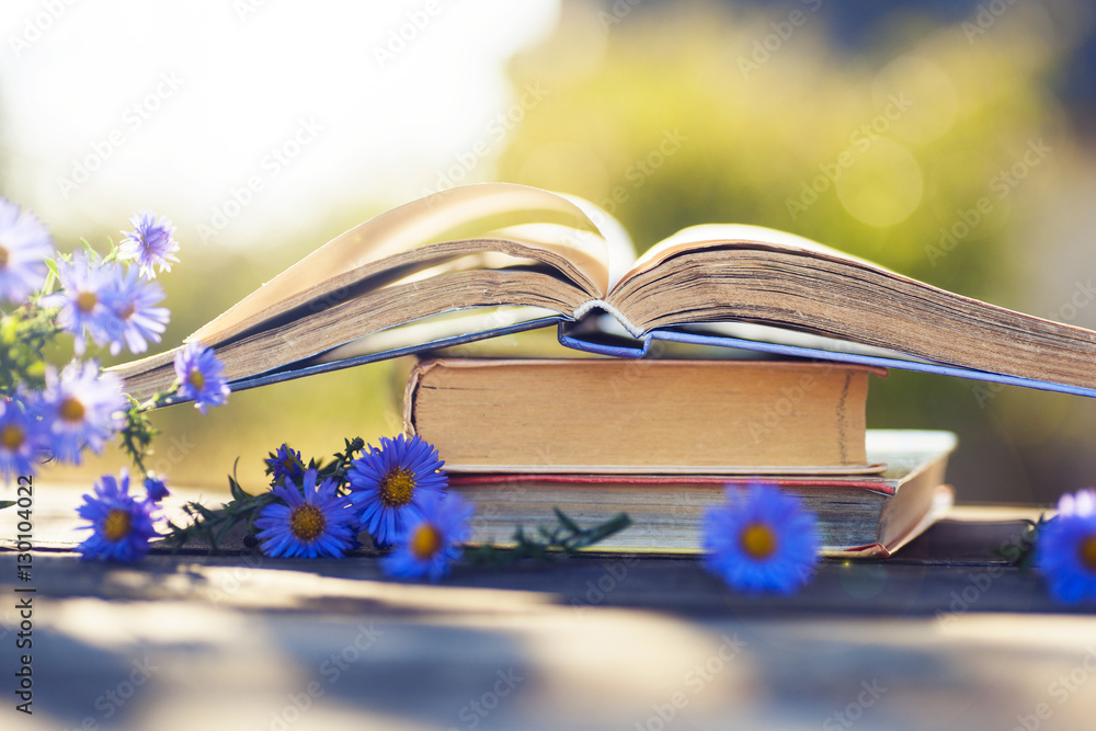 books on natural background. Stock Photo | Adobe Stock
