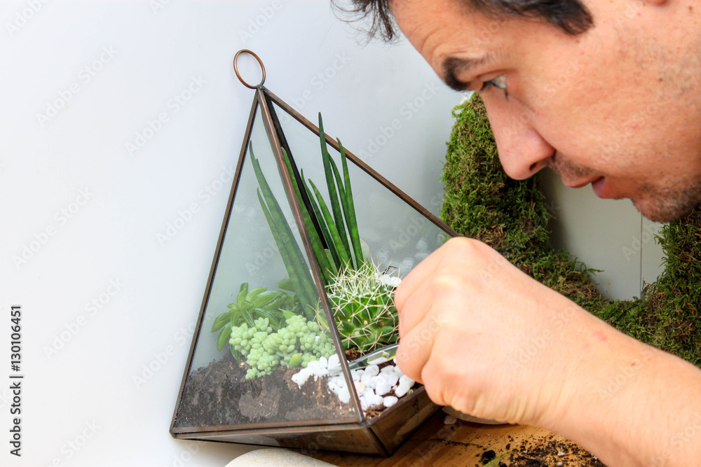 Foto de Man creating a terrarium do Stock | Adobe Stock
