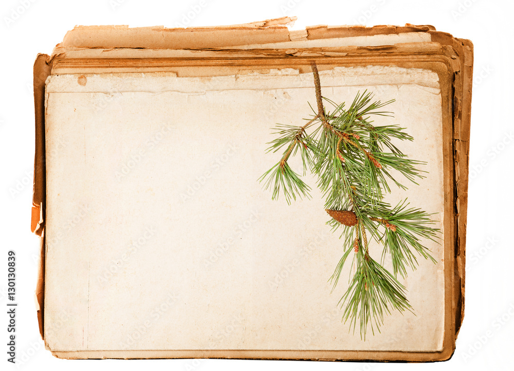 old book - old paper texture in detail Stock Photo | Adobe Stock