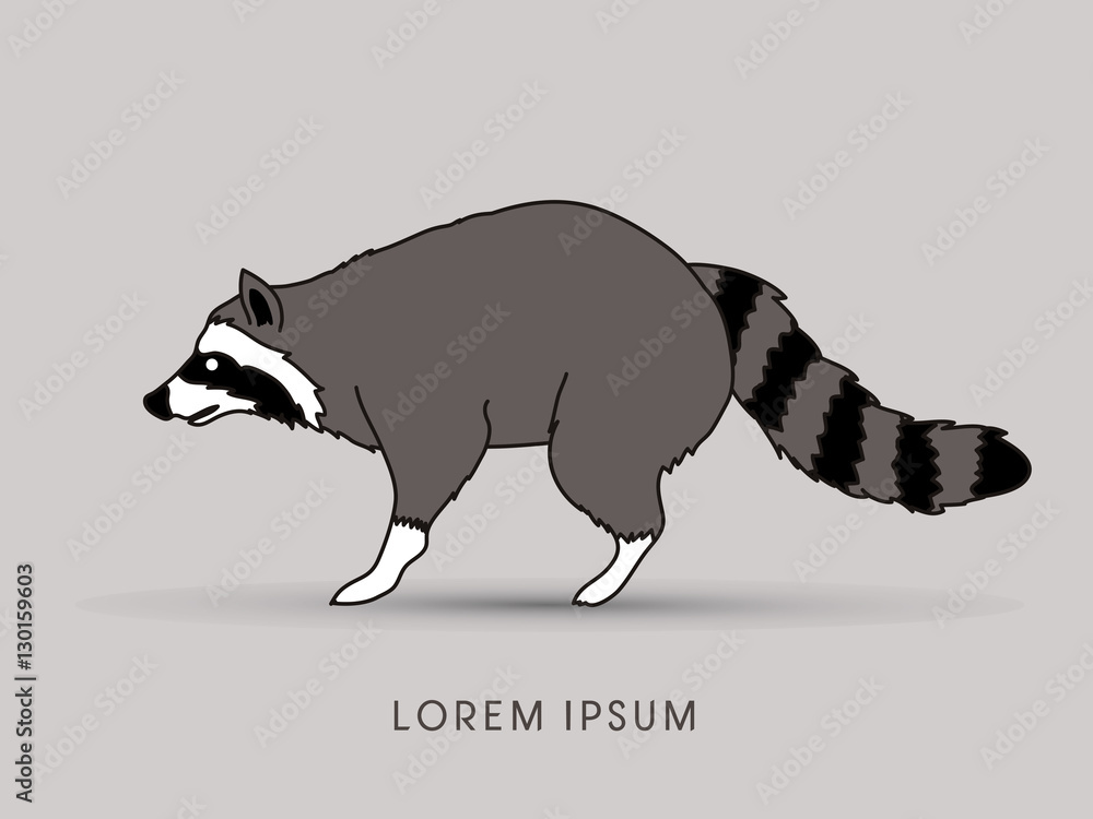 Raccoon side view graphic vector. Stock Vector | Adobe Stock