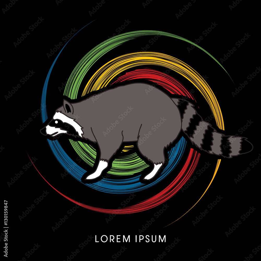 Raccoon designed on spin circle background graphic vector. Stock ...