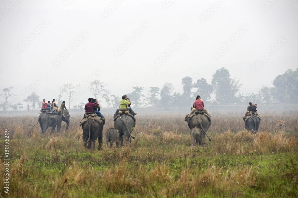 Tourists riding on elephant back, with two fifteen month old elephant ...