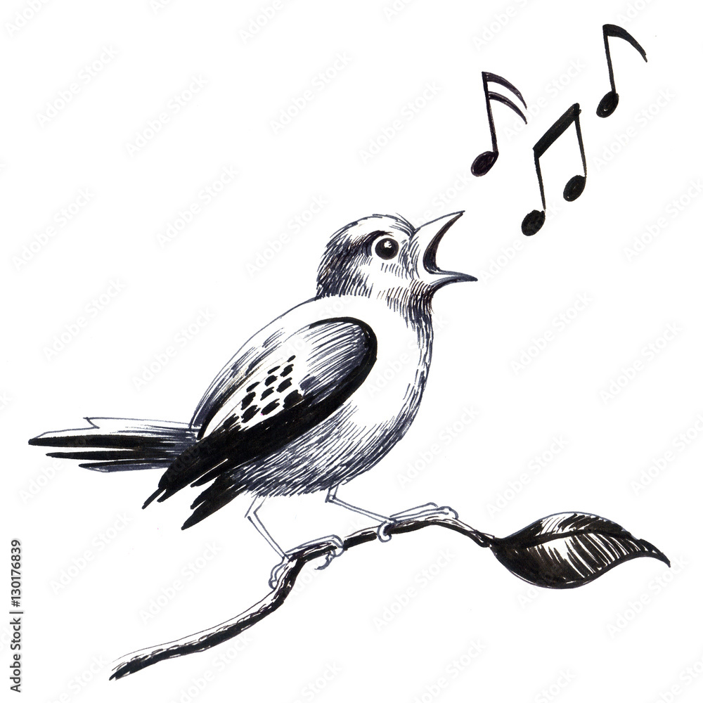 Signing Bird Stock Illustration | Adobe Stock