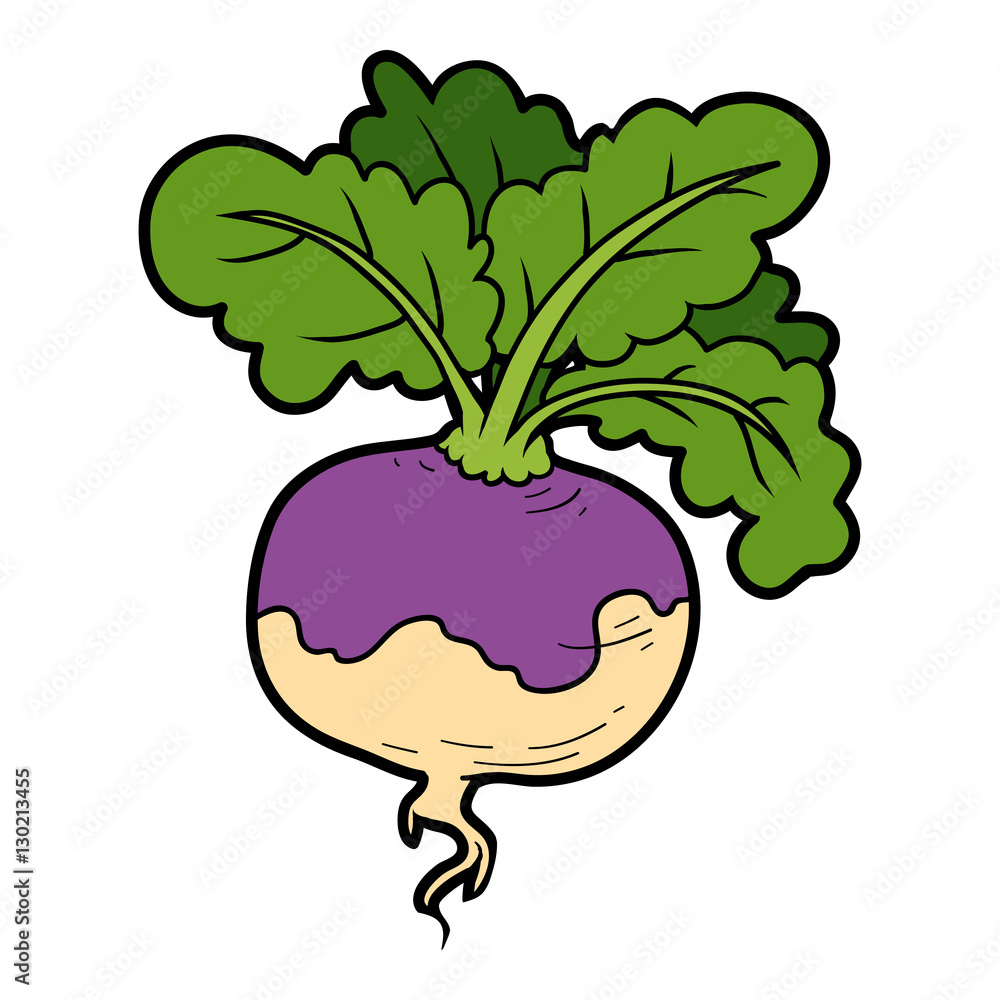 Vettoriale Stock Vector color illustration, vegetables, turnip | Adobe ...