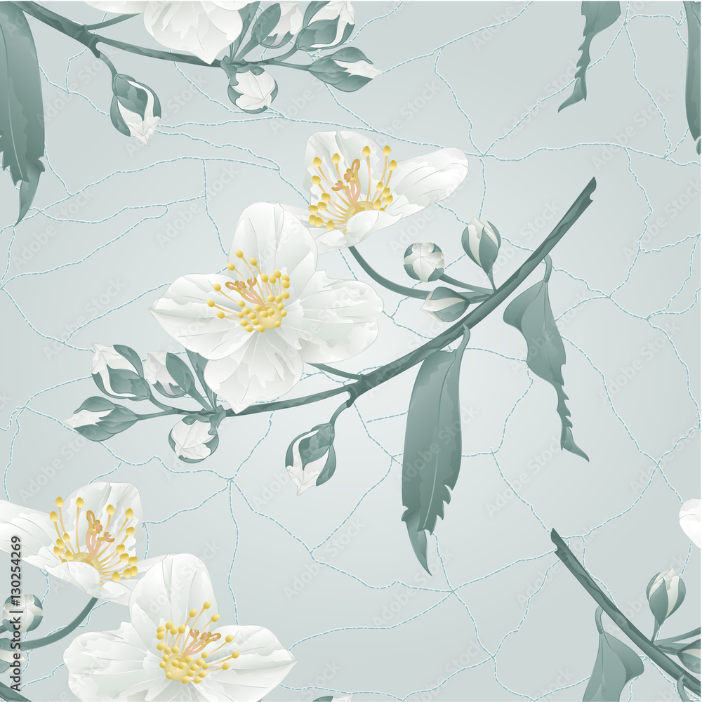 Seamless texture twig jasmine flower and buds cracks in the porcelain ...