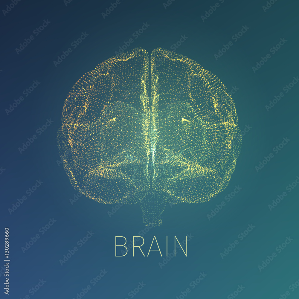 Abstract brain vector illustration. Xray view inside head. Neurology ...
