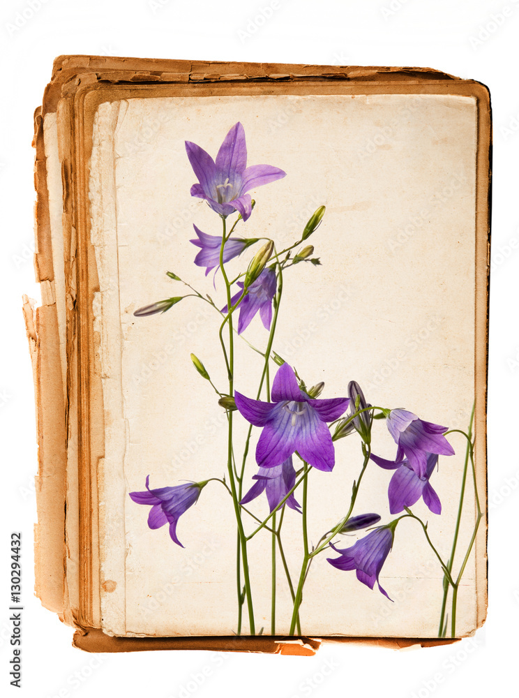 old book - old paper texture in detail Stock Photo | Adobe Stock