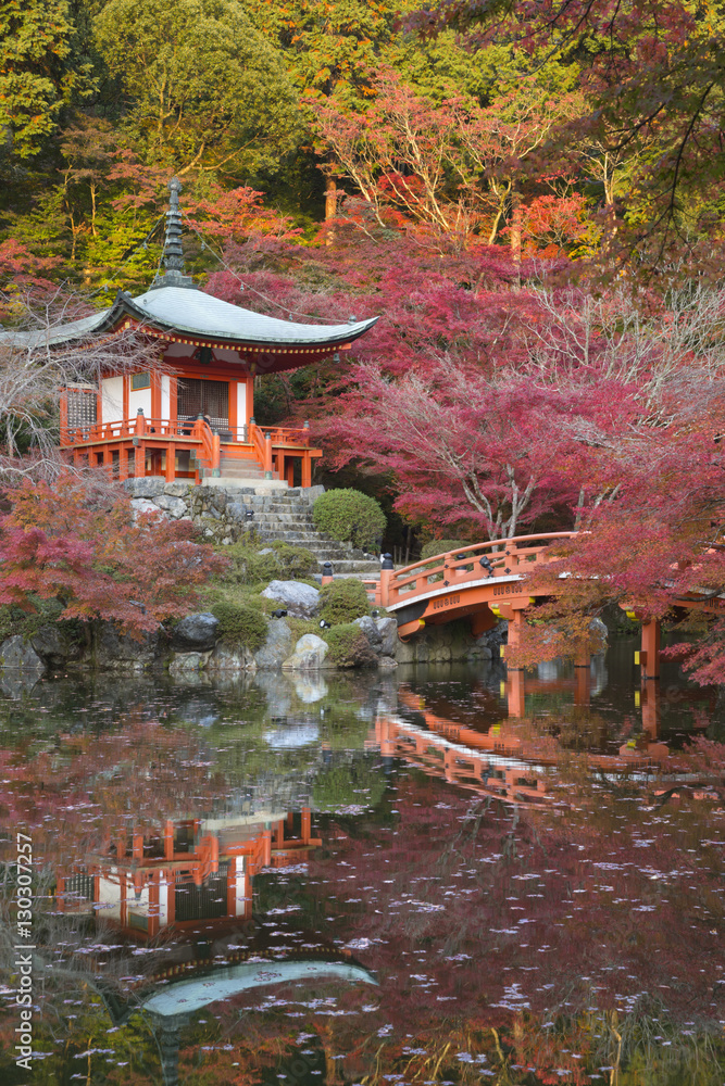 Japanese temple garden in autumn, Daigoji Temple, Kyoto, Japan Stock ...