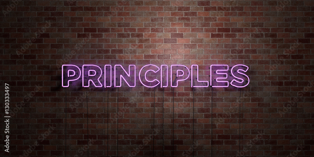 PRINCIPLES - fluorescent Neon tube Sign on brickwork - Front view - 3D ...