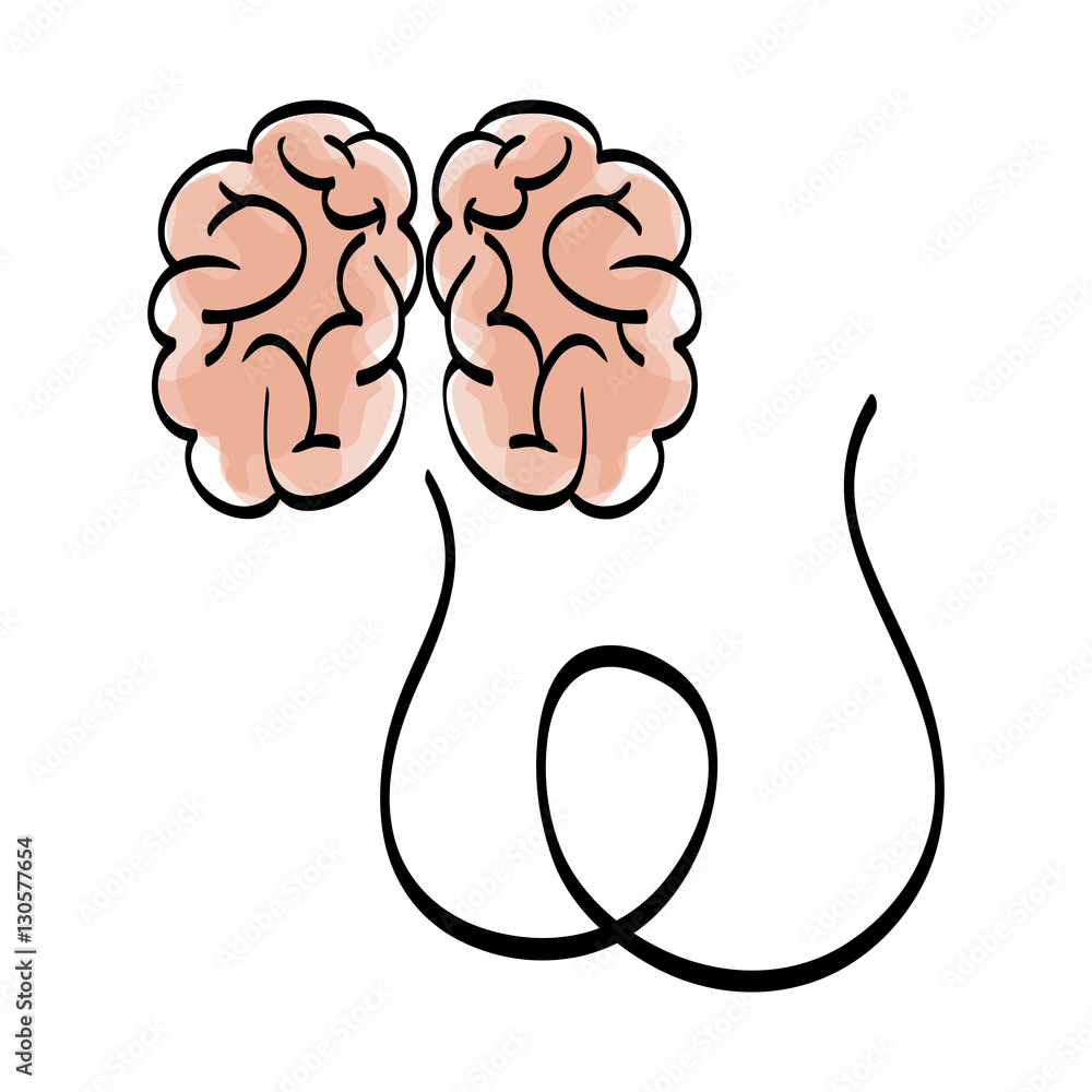 Human brain scribble icon vector illustration graphic design Stock ...